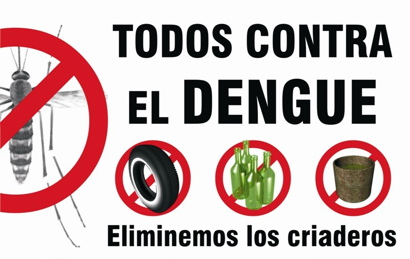 Continúan Las Campañas Que Buscan Reducir La Propagación Del Dengue