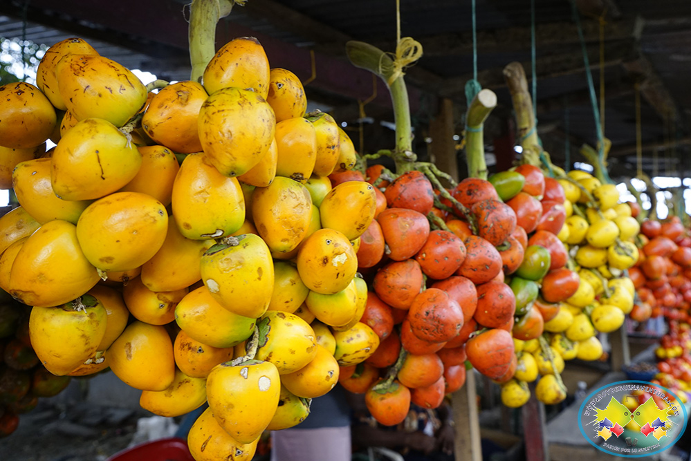 Vallecaucanos a disfrutar del II Festival del Chontaduro que se ...