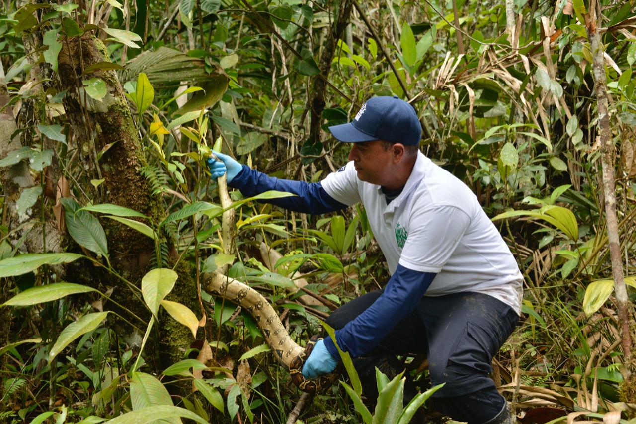 La defensa por la vida continúa desde todos los territorios, visita del ...